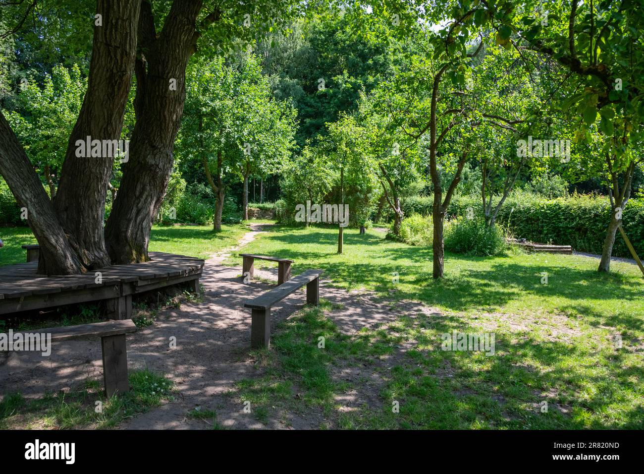 Community garden at Reddish Vale country park, Stockport, Greater ...