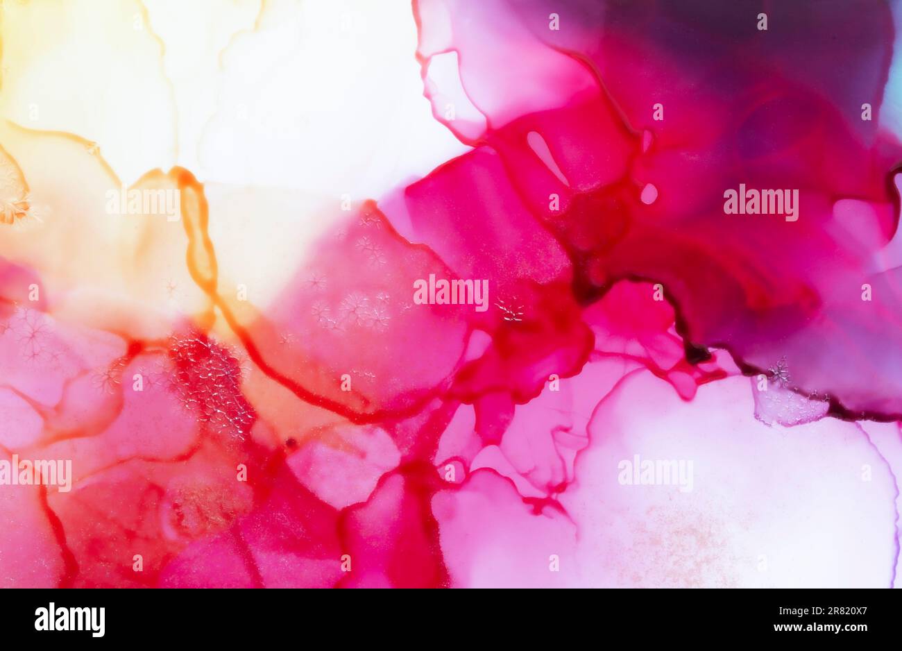 Macro close-up of red and orange alcohol ink layers and splashes. Fluid ...