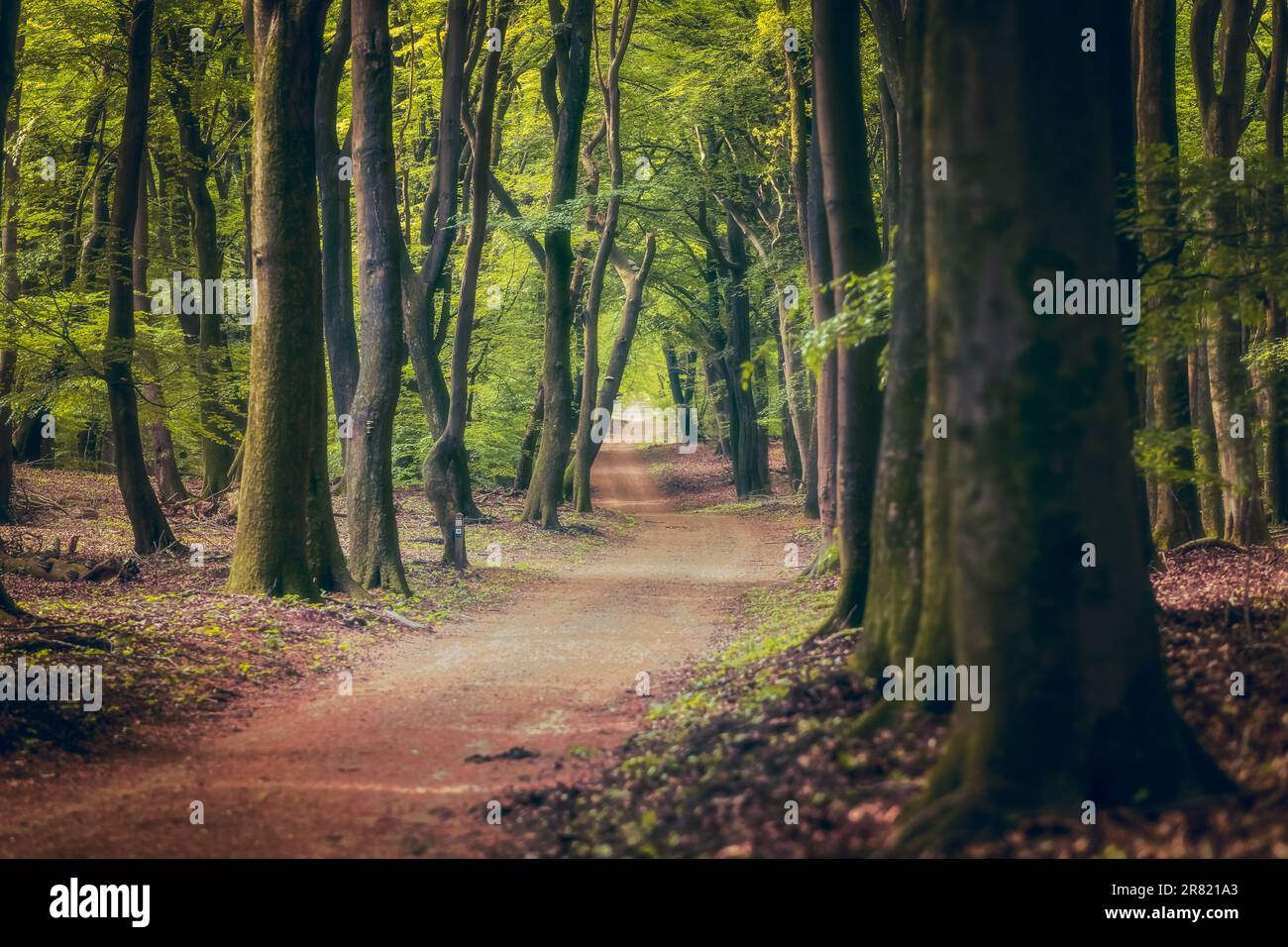 Spring season photography hi-res stock photography and images - Alamy