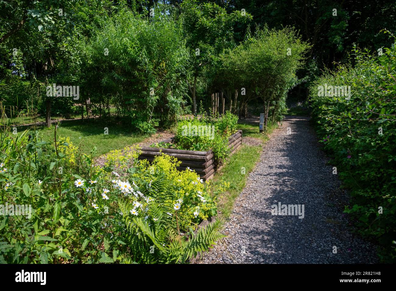 Community garden at Reddish Vale country park, Stockport, Greater ...
