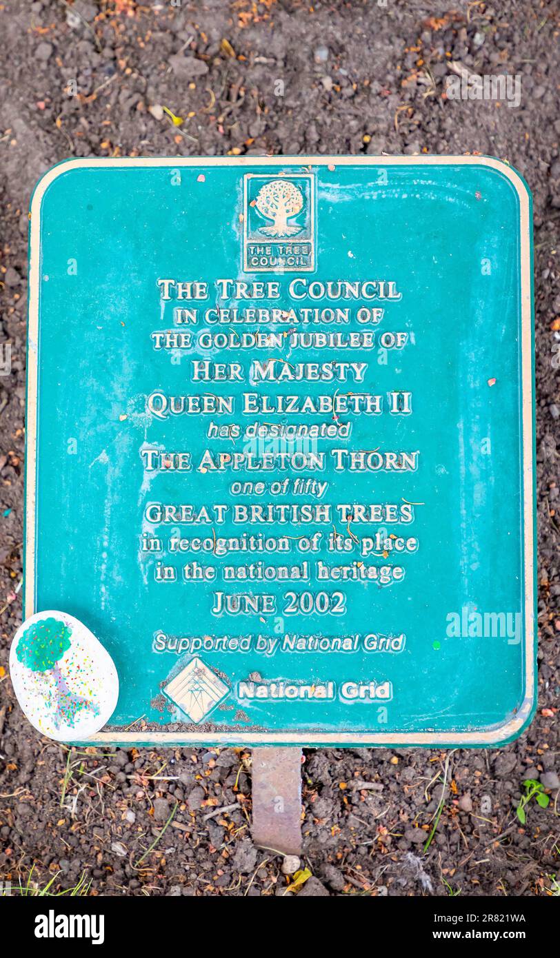 Appleton Thorn, nr Warrington, Cheshire, UK. 17th June, 2023. Bawming ...