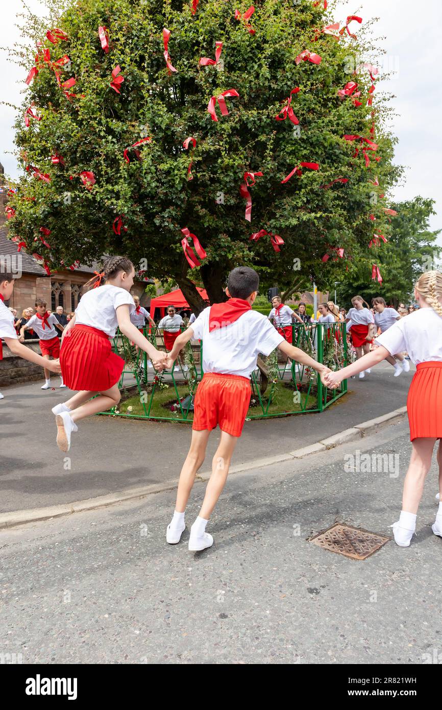 The holy thorn tree of glastonbury hi-res stock photography and images ...