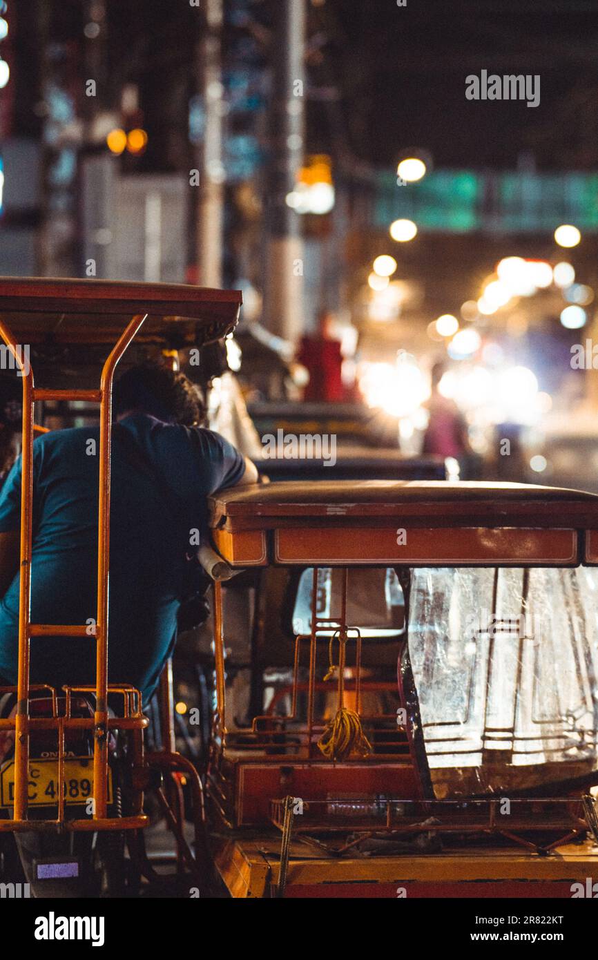 A young woman dressed in casual attire is seated on the back of a ...