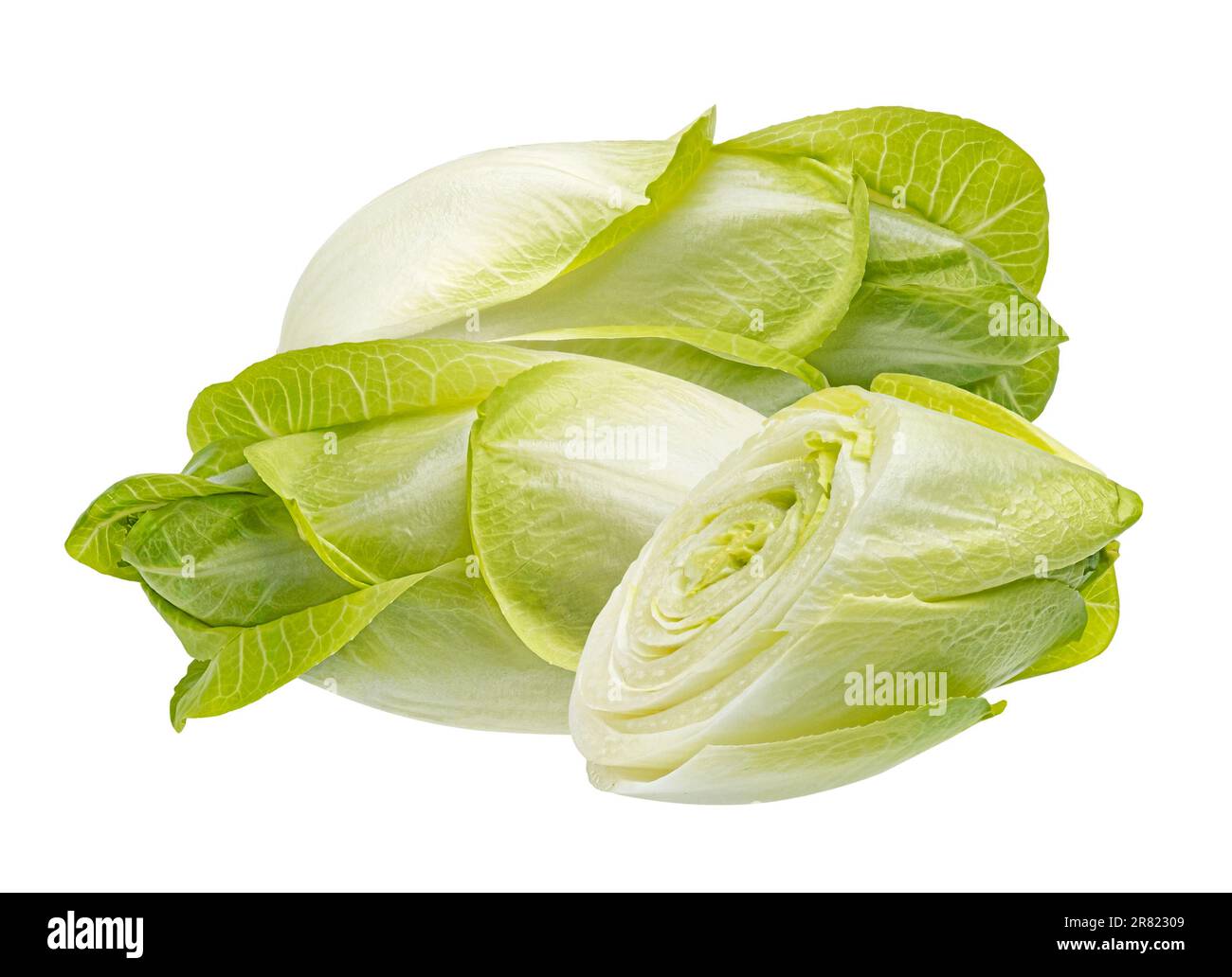 Fresh endive, green chicory salad isolated on white background Stock ...