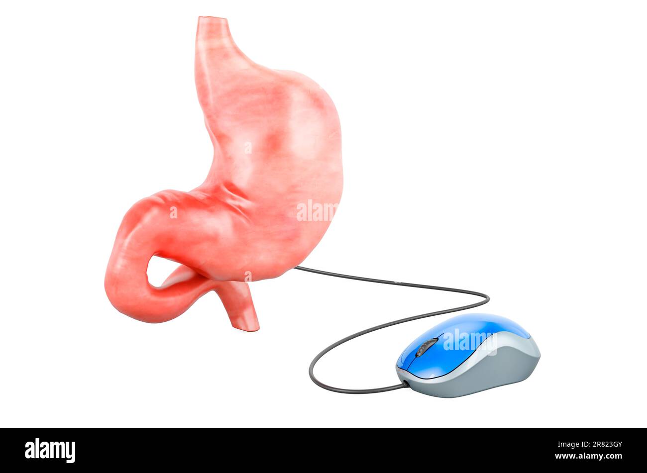 Human stomach with computer mouse. 3D rendering isolated on white background Stock Photo - Alamy