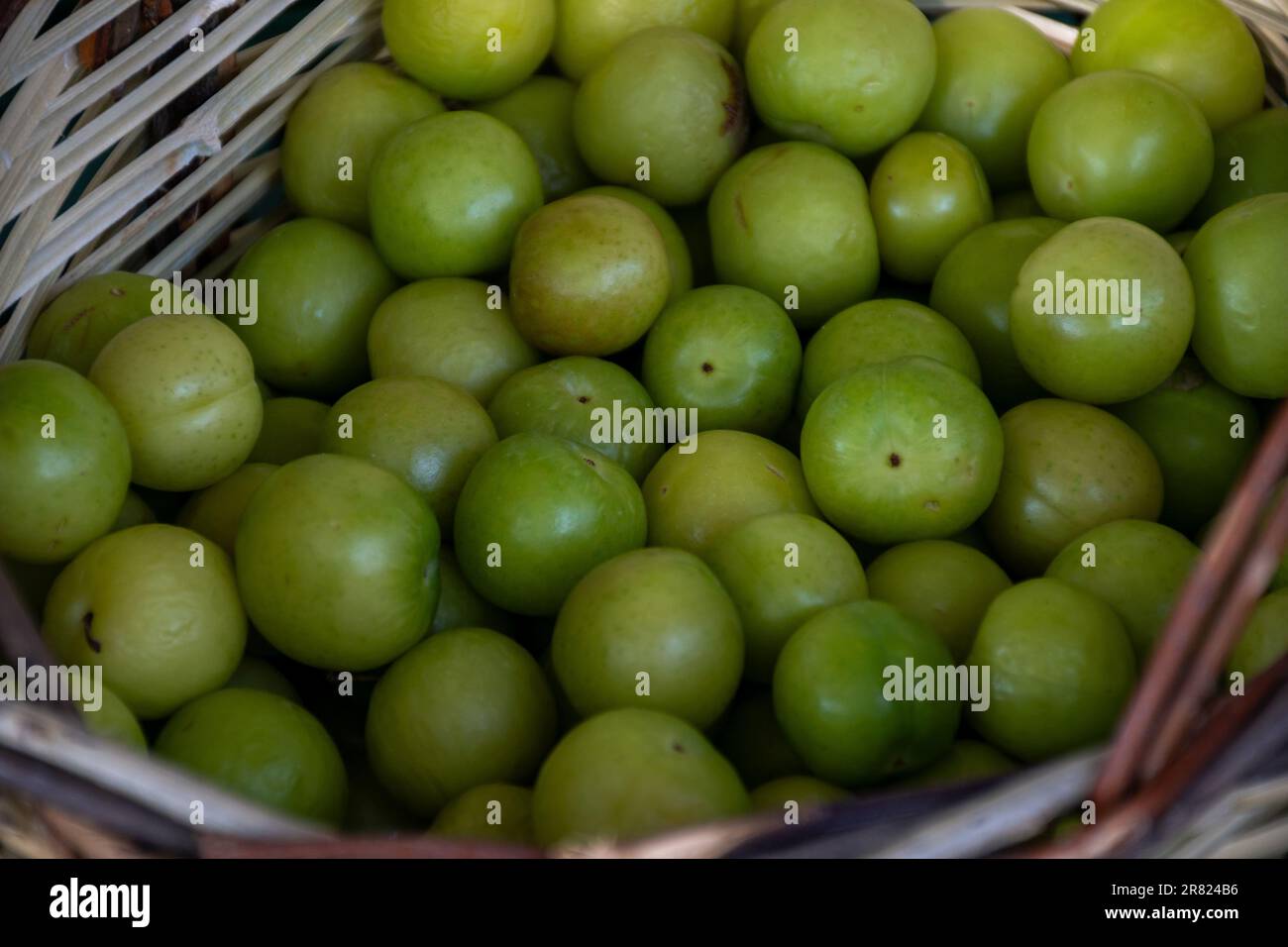 Green turkish plum can erik in basket close up Stock Photo - Alamy