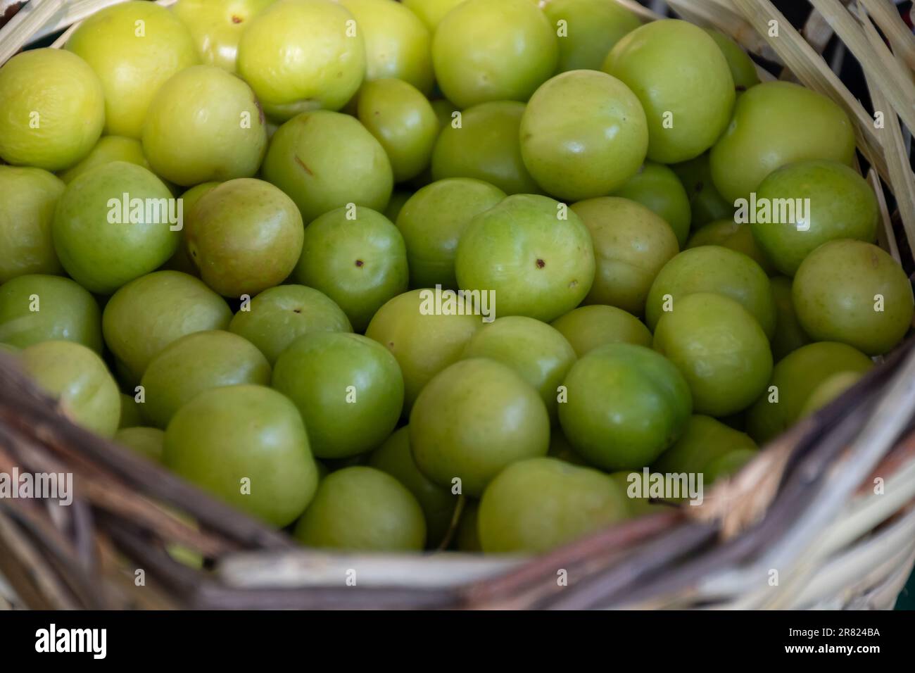 Can erik plums hi-res stock photography and images - Alamy