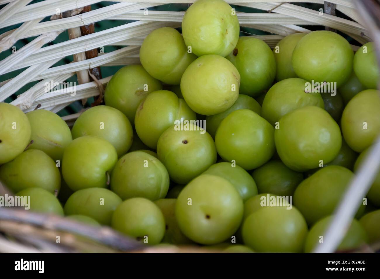 Persian sour plums hi-res stock photography and images - Alamy