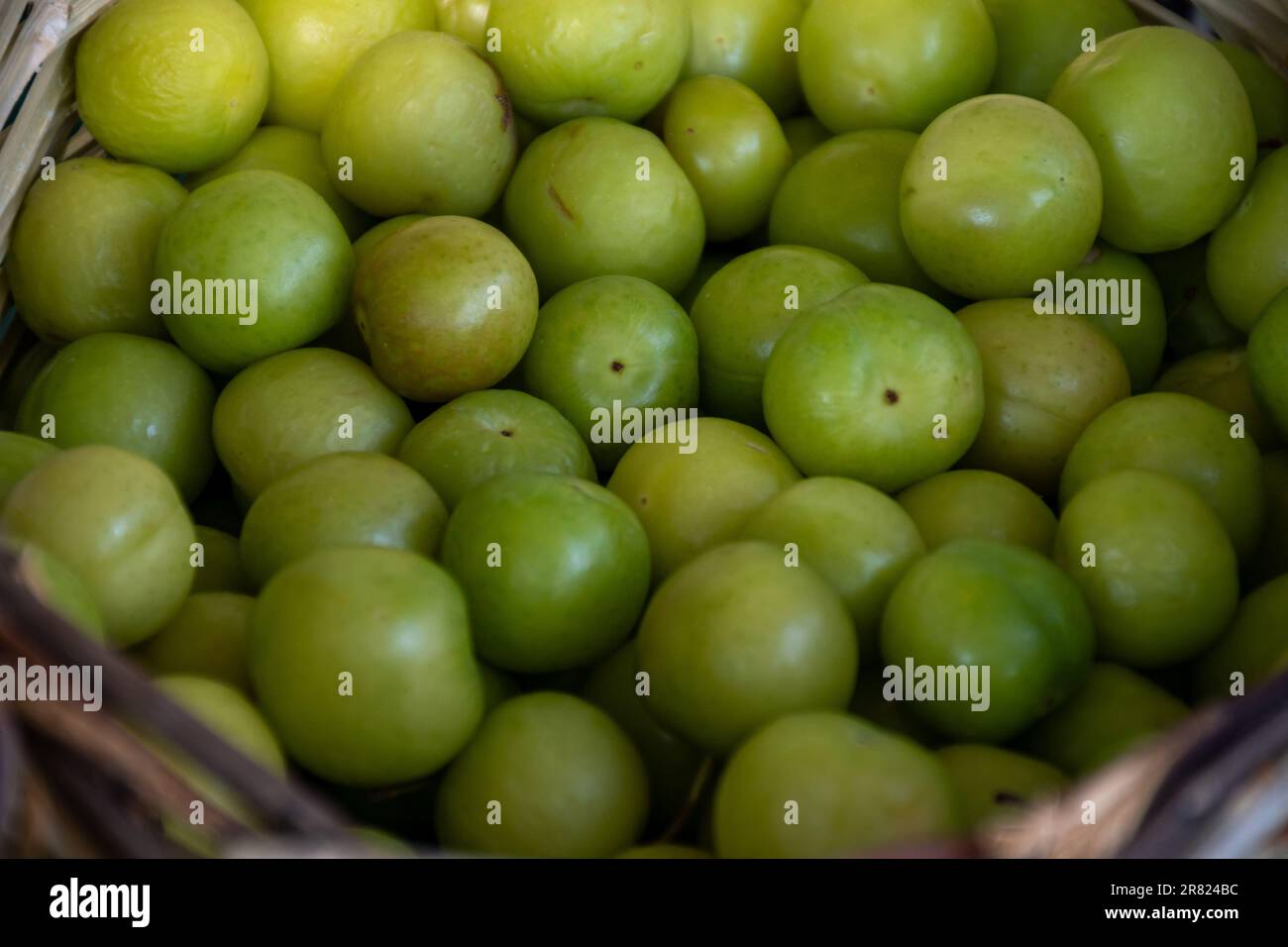 Can erik plum hi-res stock photography and images - Alamy