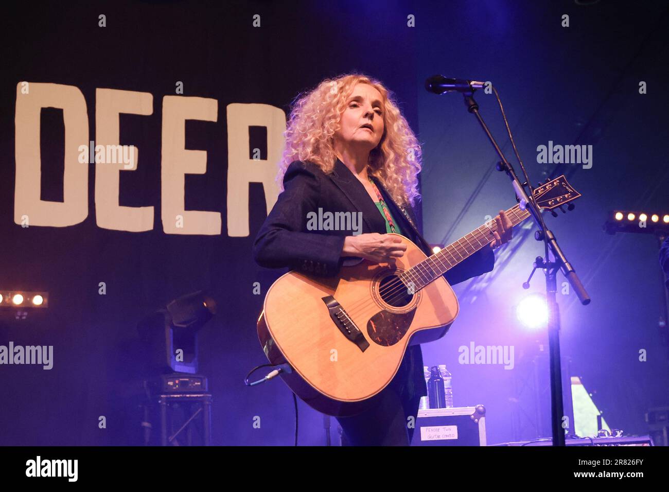 Black Deer Festival, Kent, UK - 18th June Patty Griffin performs at ...