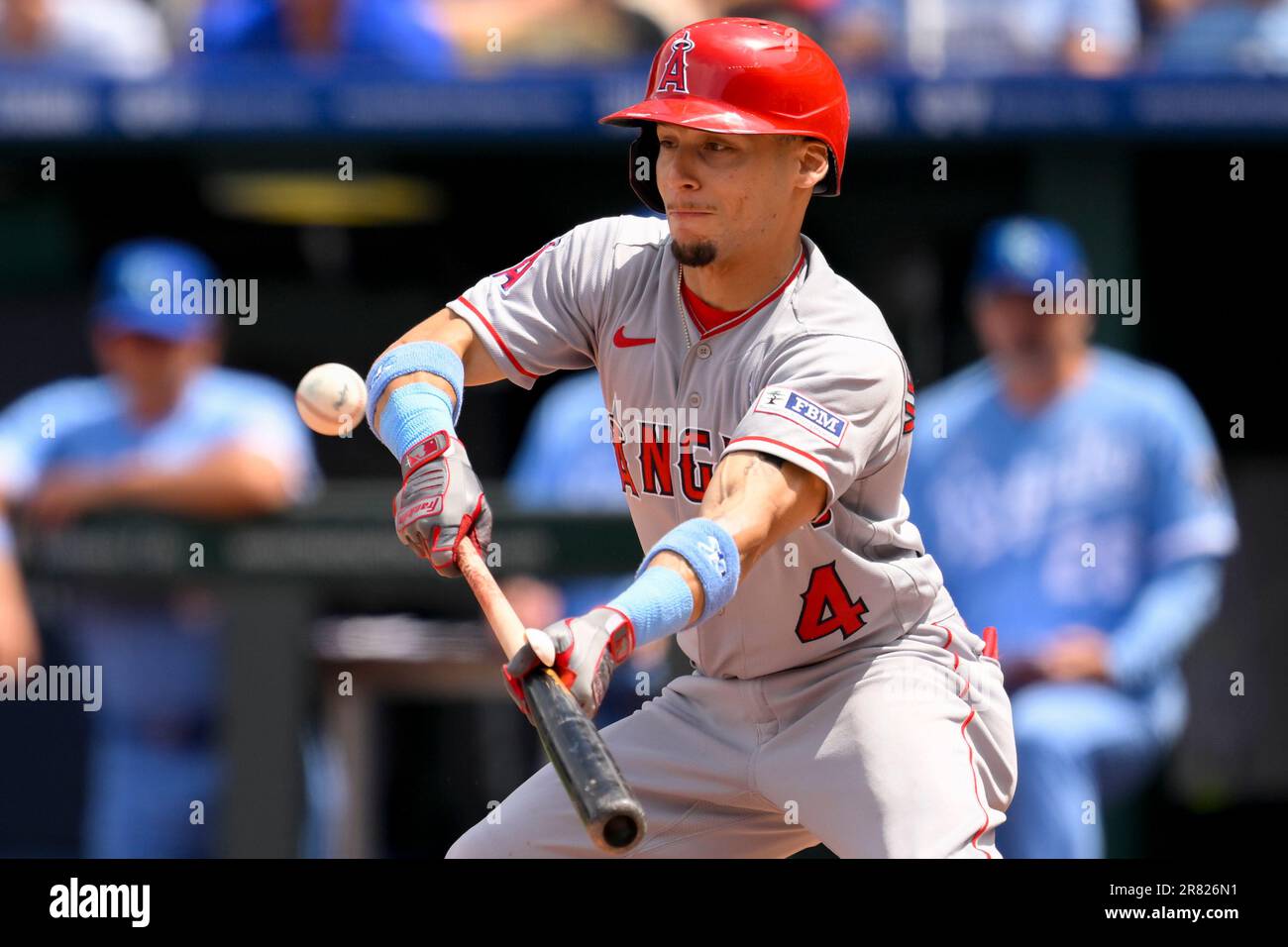 Los Angeles Angels' Andrew Velazquez bunts during the sixth inning of a ...