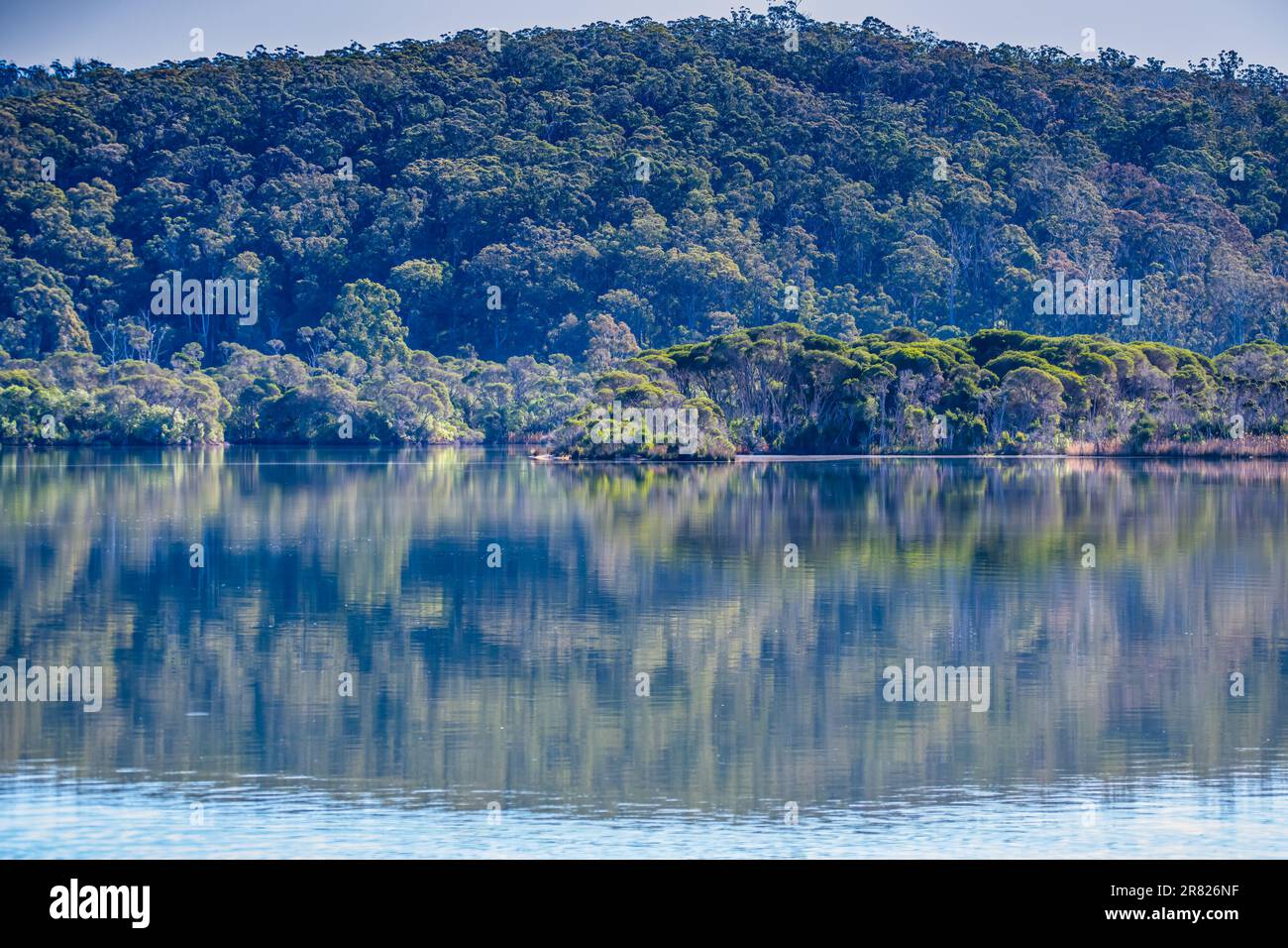 Gipsy Point is located inland where the Wallagaraugh and Genoa Rivers ...