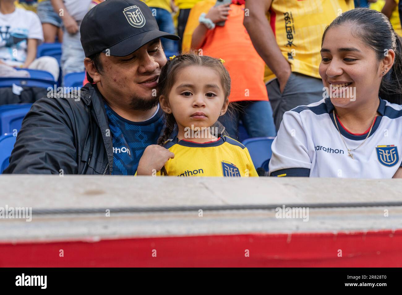 Fans of Ecuador team celebrate during friendly game against Bolivia on ...