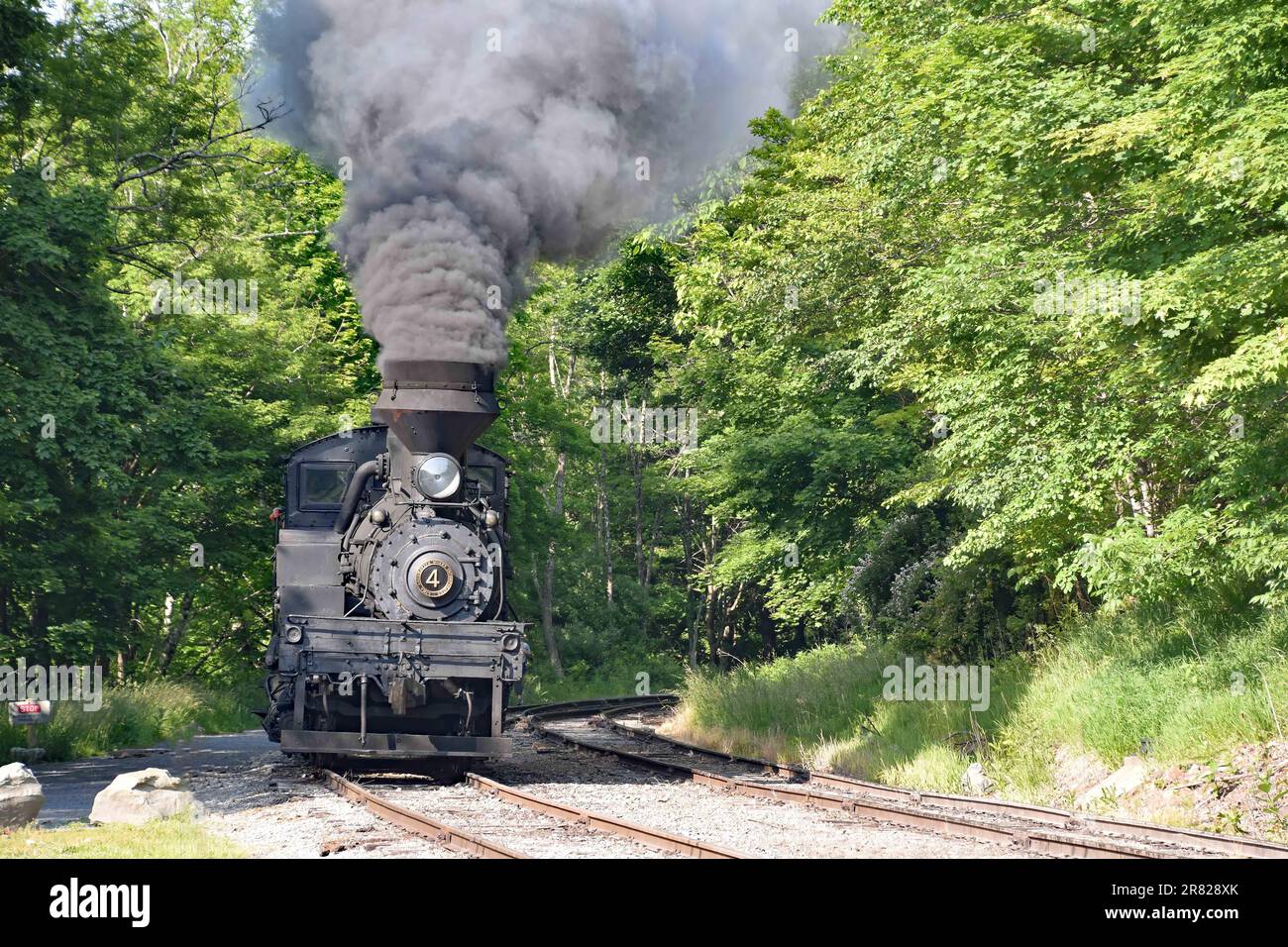 Cass shay 4 hi-res stock photography and images - Alamy