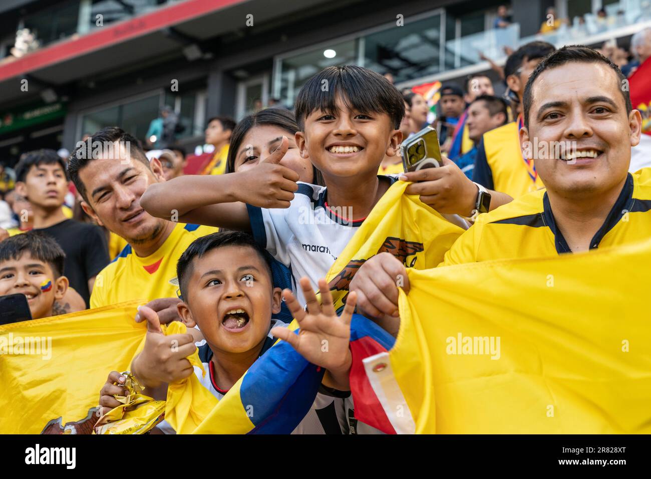 Fans of Ecuador team celebrate during friendly game against Bolivia on ...