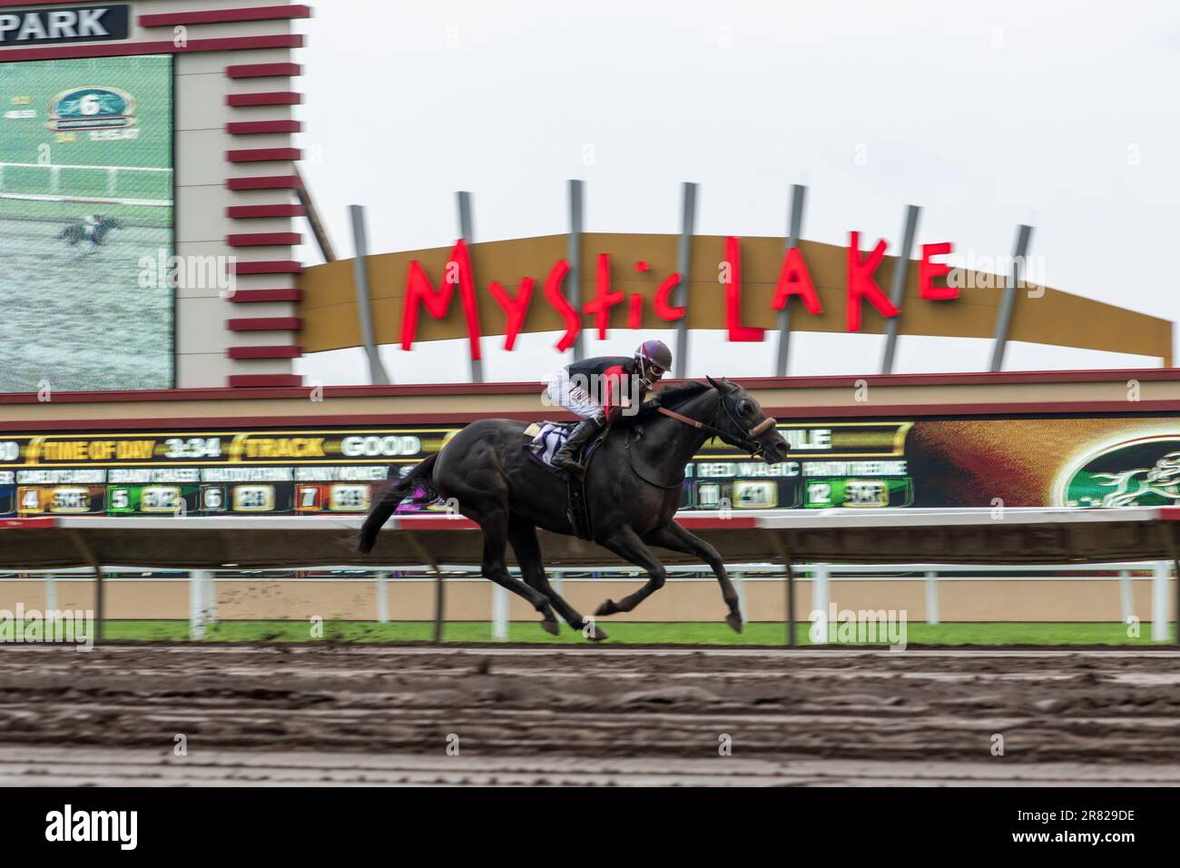 Shakopee, Minnesota. Canterbury Park. Horse racing with all four feet ...