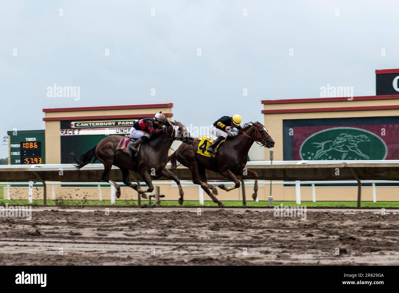 Shakopee, Minnesota. Canterbury Park. Horses racing with all four feet ...