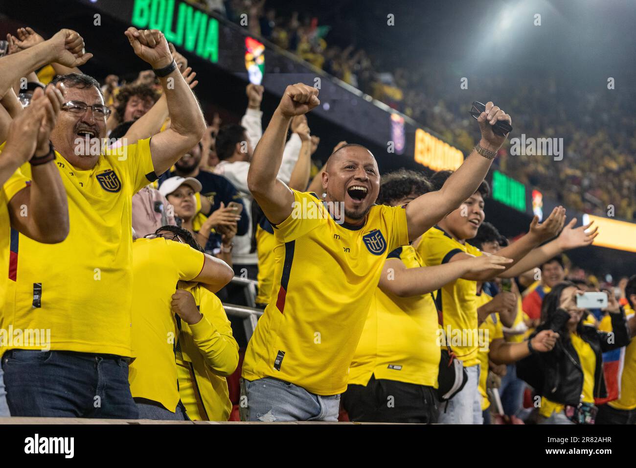 Fans of Ecuador team celebrate during friendly game against Bolivia on ...