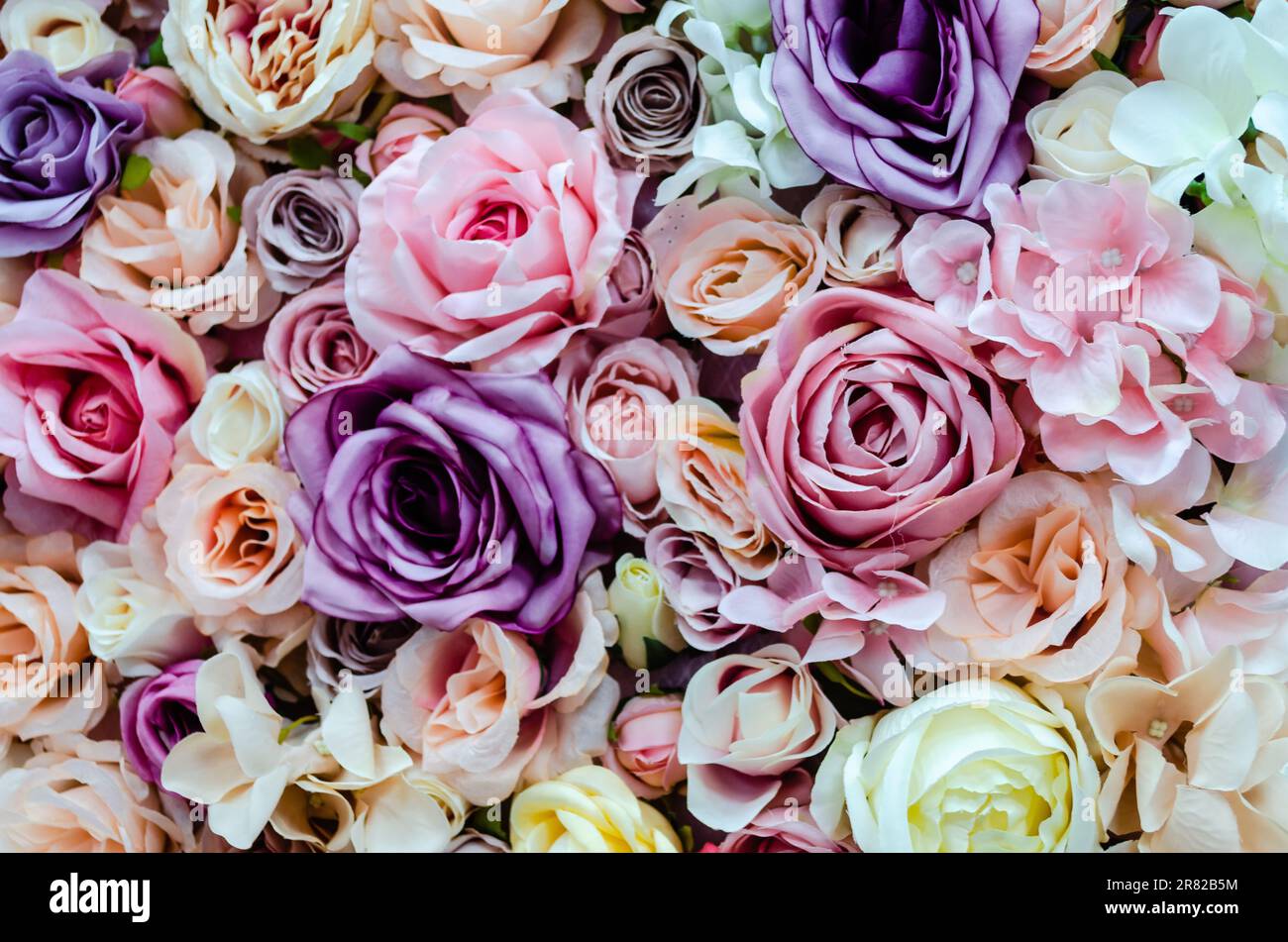 Delightful selection hi-res stock photography and images - Alamy