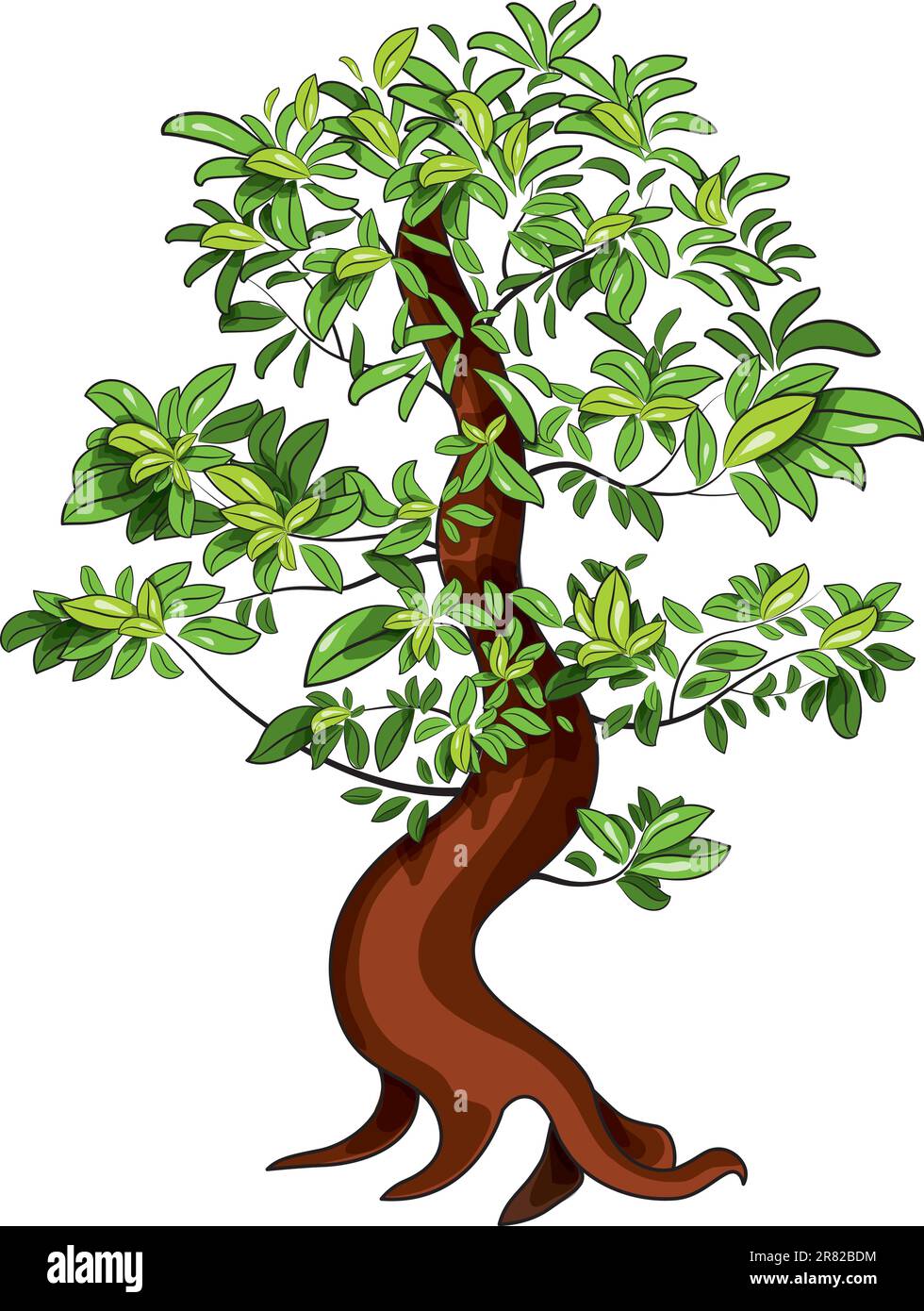 Vector illustration of japan decorative ficus Bonsai Stock Vector Image ...