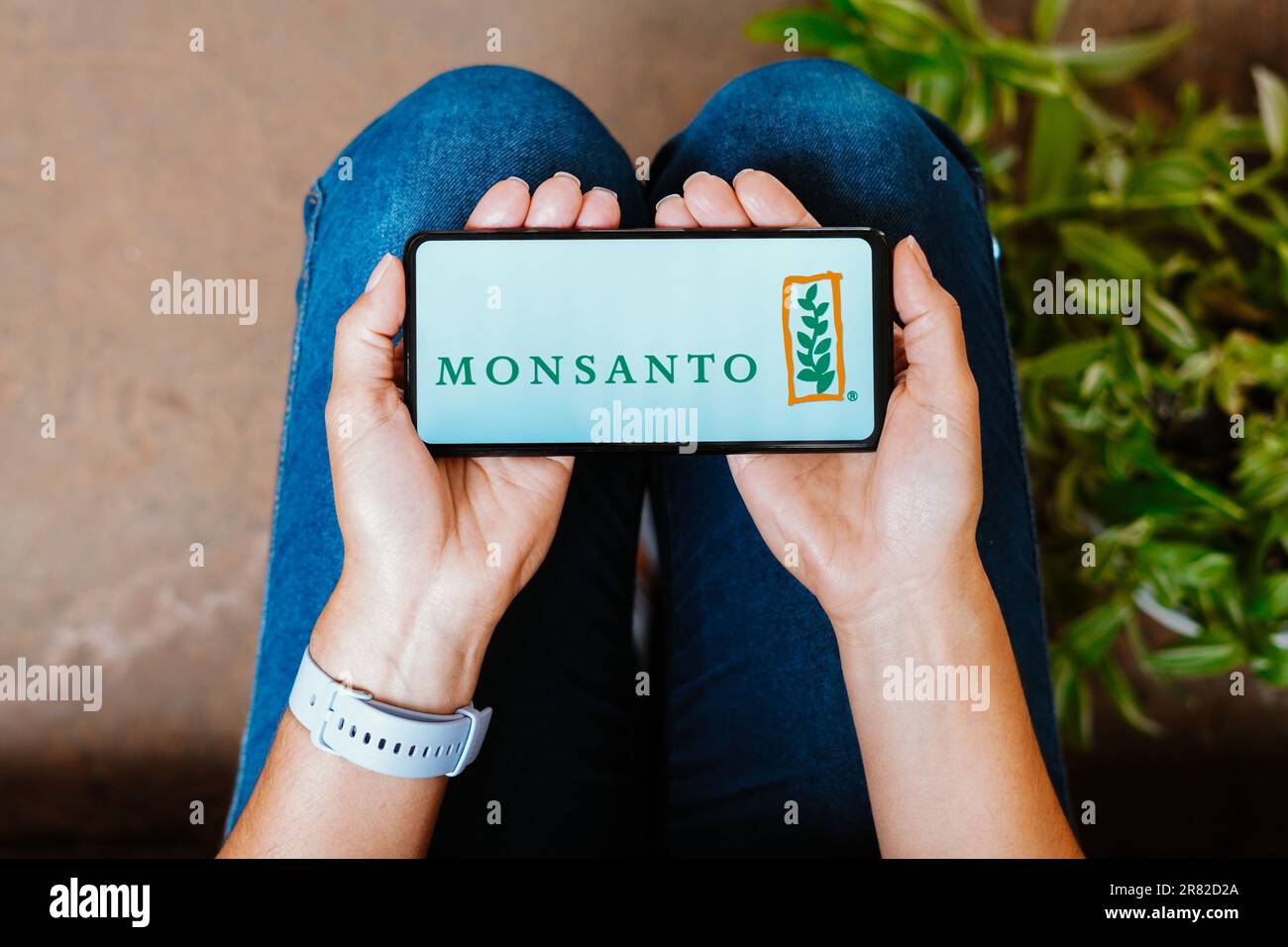 In this photo illustration, the Monsanto Company logo is displayed on a ...