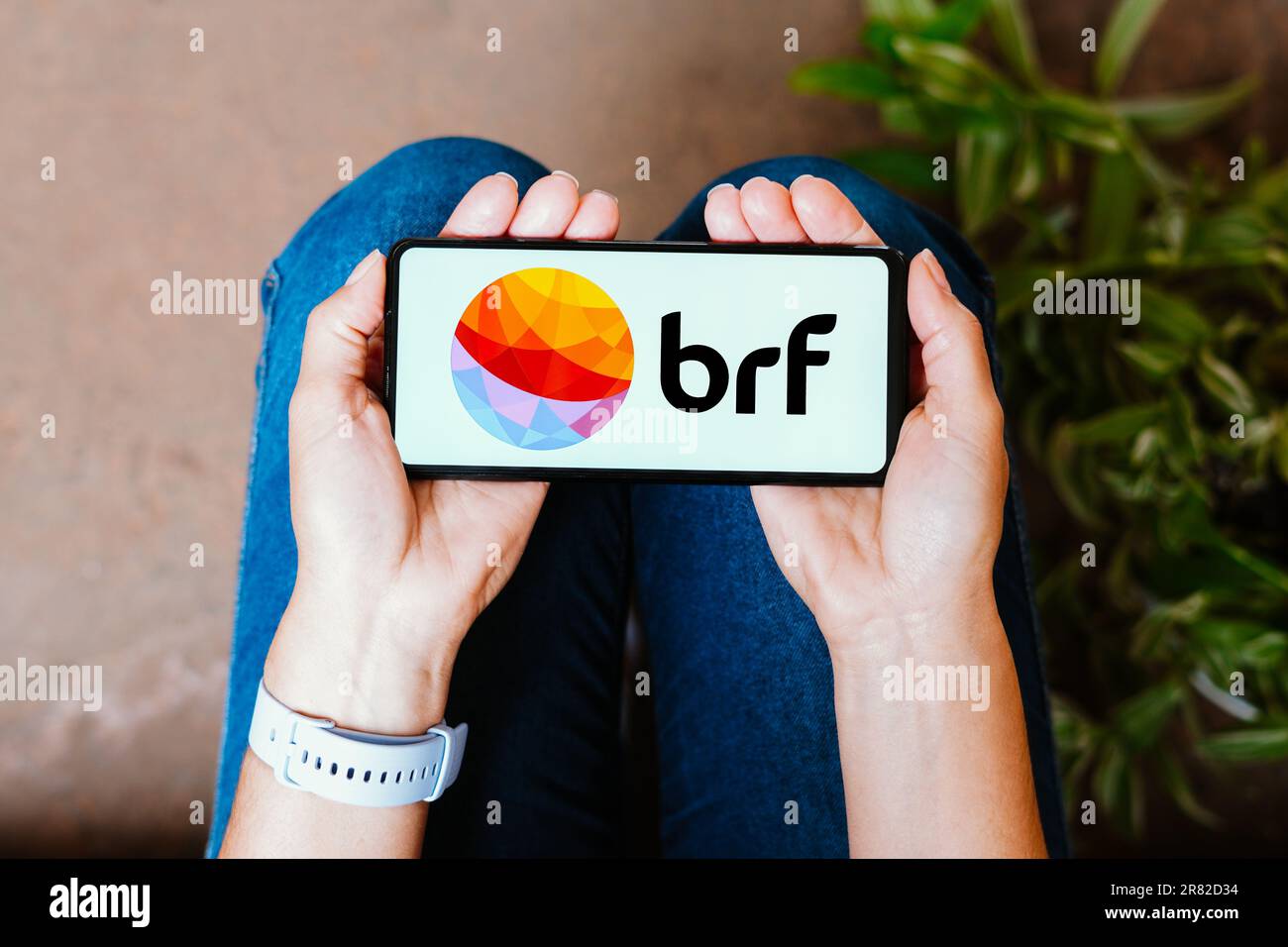 In this photo illustration, the BRF logo is displayed on a smartphone ...