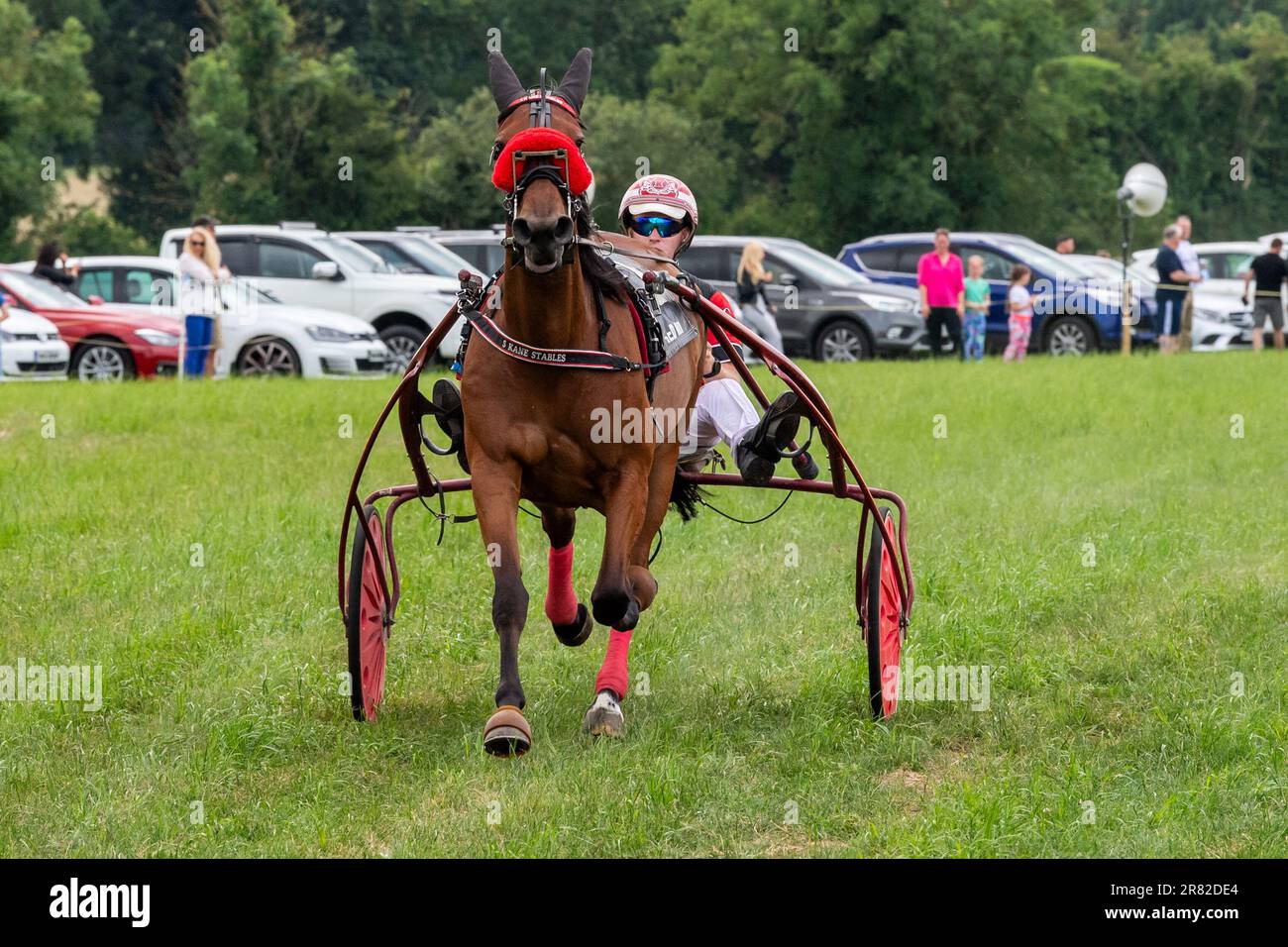 Horse like mam hi-res stock photography and images - Alamy