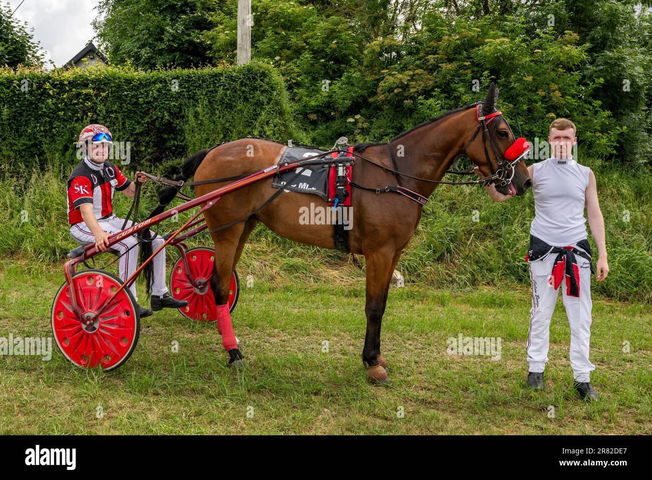 Horse like mam hi-res stock photography and images - Alamy