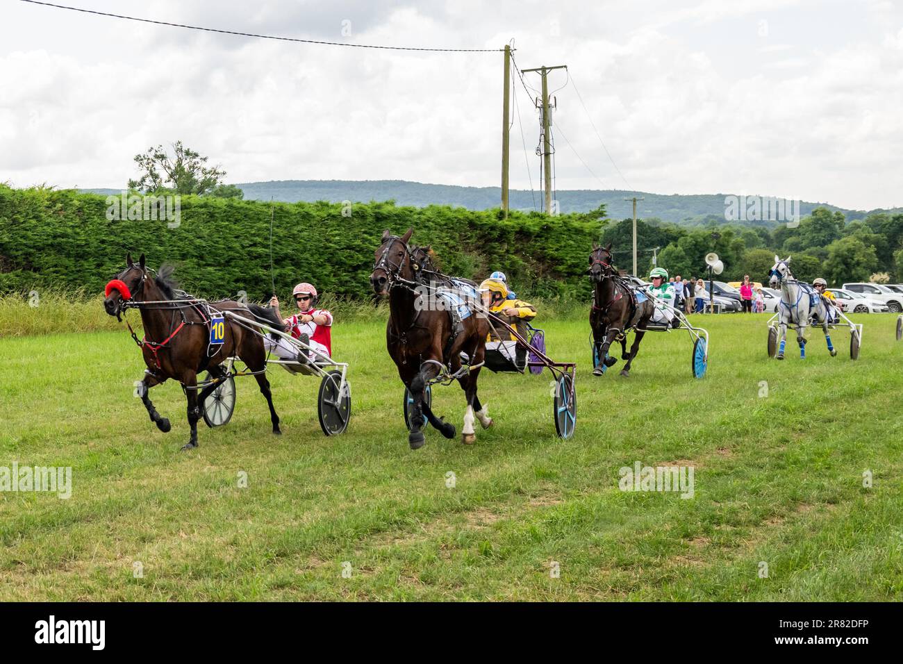 Horse attitude hi-res stock photography and images - Alamy