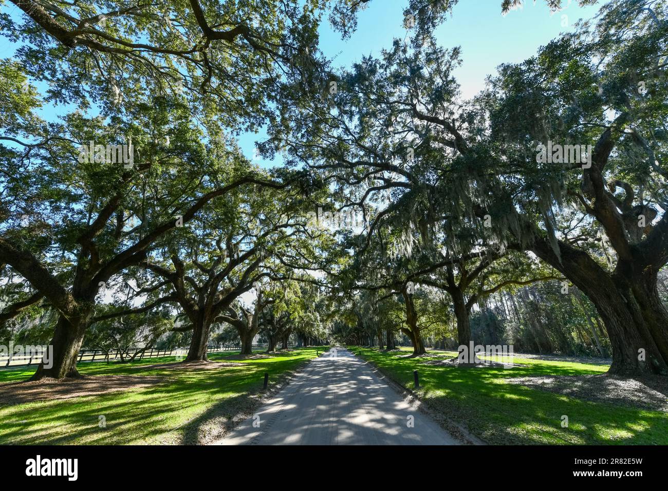Boone Hall Plantation in Mount Pleasant, South Carolina. The plantation ...