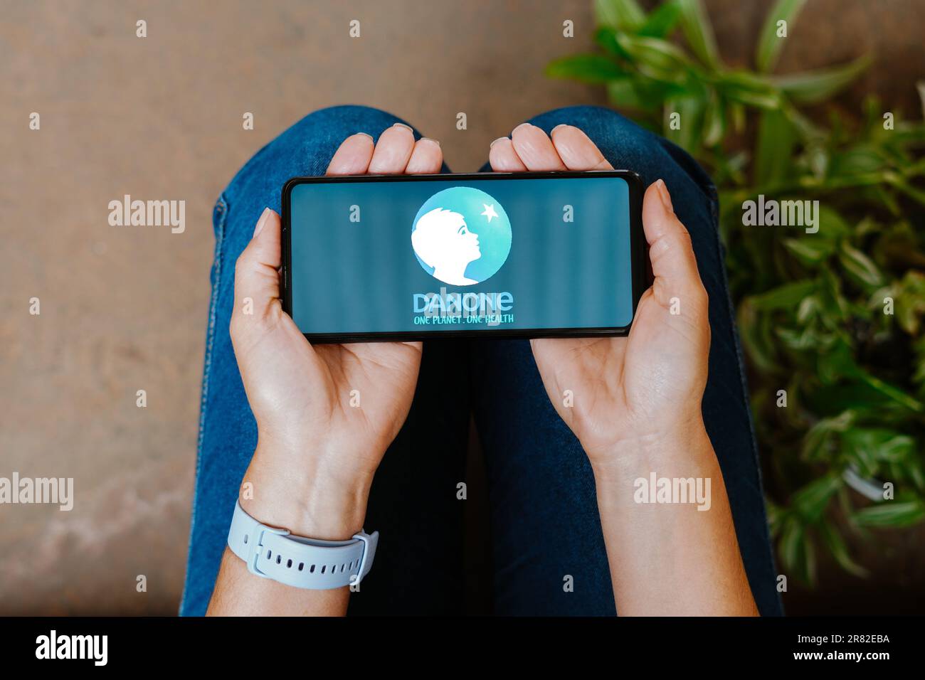 Brazil. 18th June, 2023. In this photo illustration, the Danone S.A ...