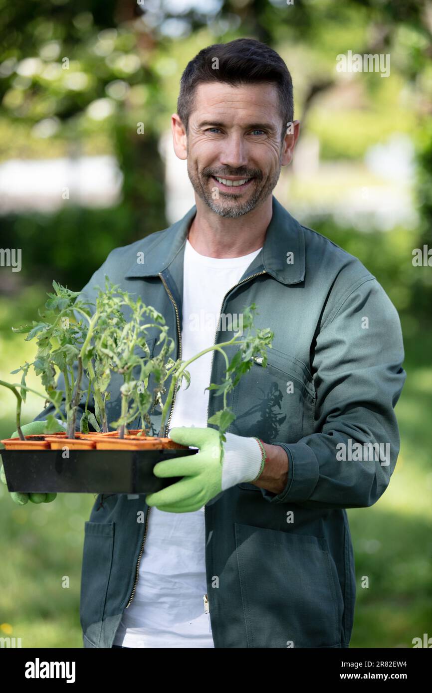Transplanting a shrub, garden hi-res stock photography and images - Alamy