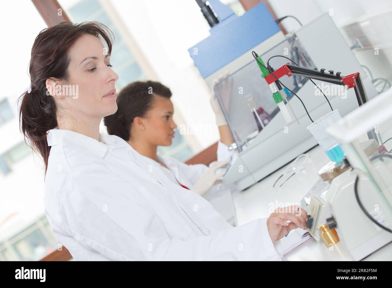 side view of female scientists at work in a laboratory Stock Photo - Alamy