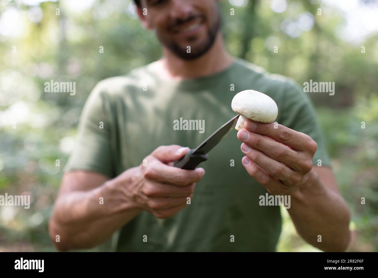 picking nice specimen of delicious edible mushroom Stock Photo - Alamy