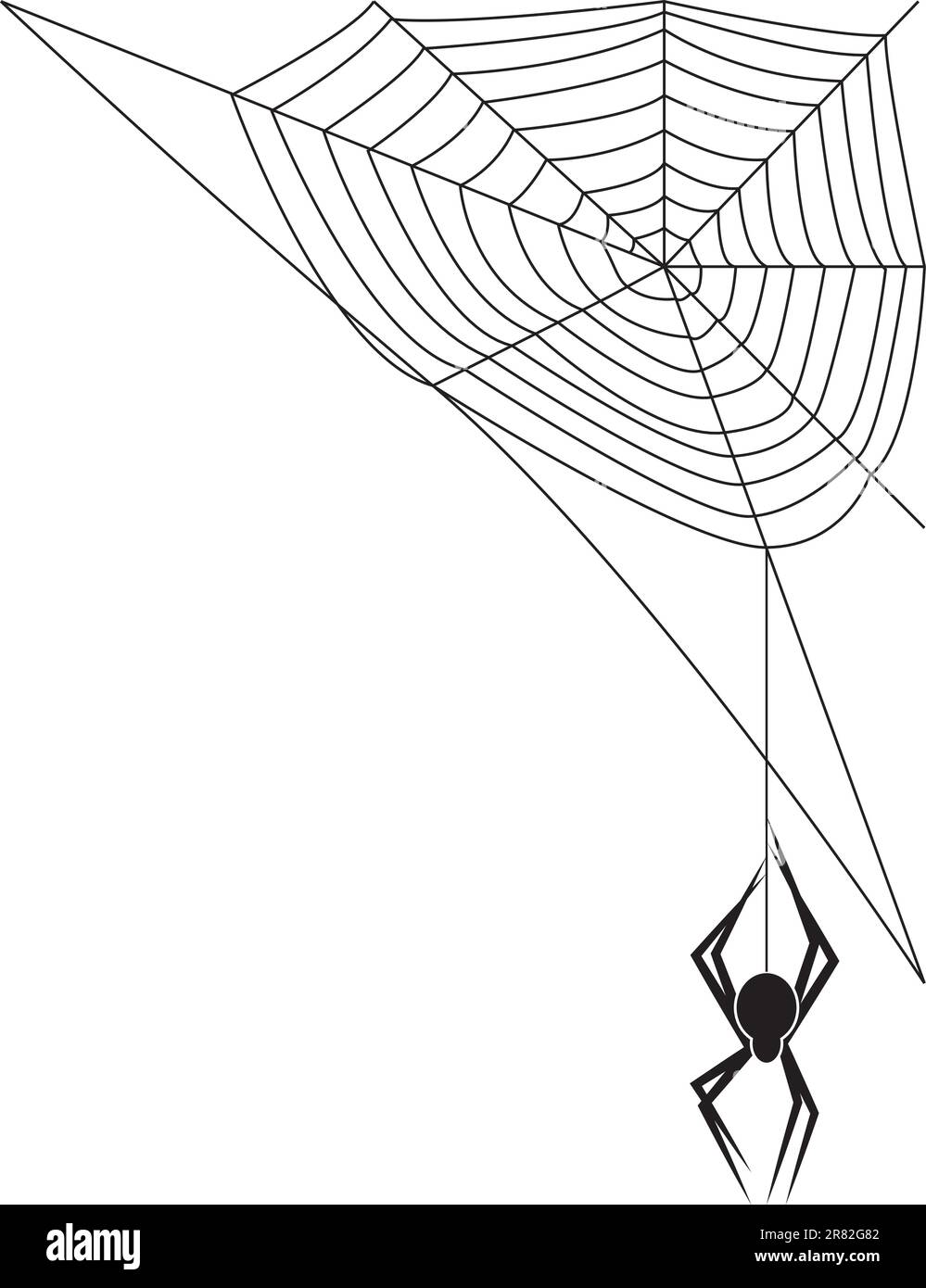 Spider and its net Stock Vector Image & Art - Alamy