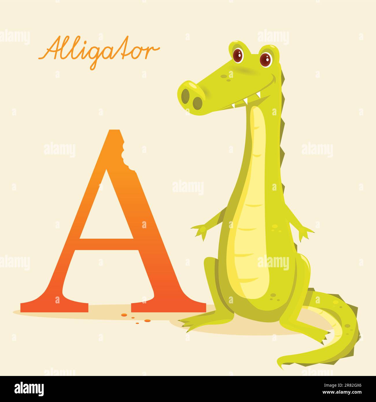 Animal alphabet with alligator, vector illustration Stock Vector Image ...