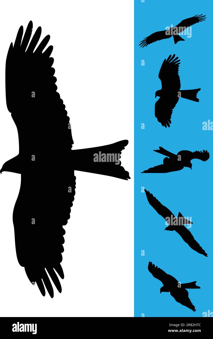 Set of 6 Eagle Vector Illustrations Stock Vector Image & Art - Alamy