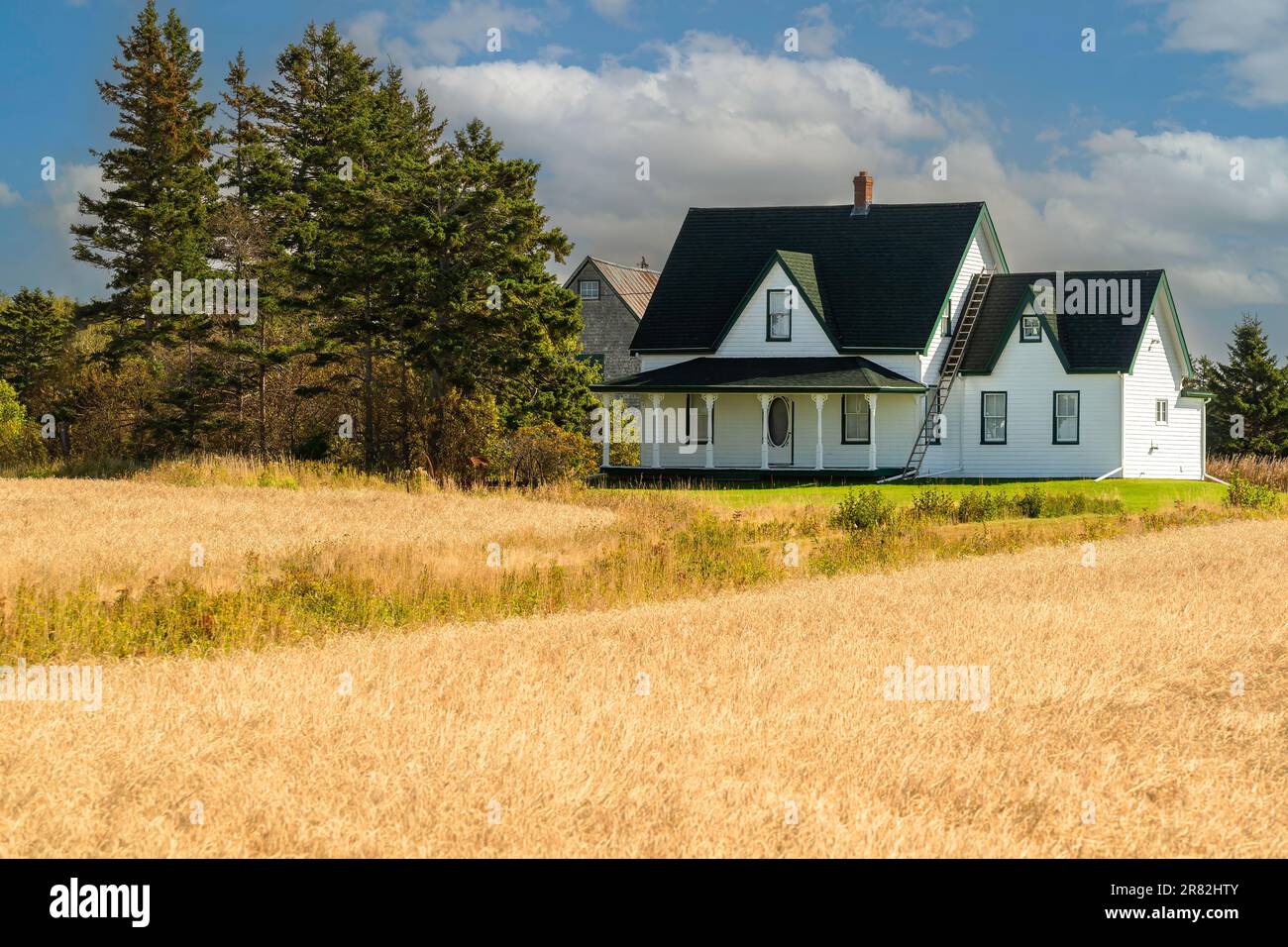 Old farmhouse in the farmland of rural America Stock Photo - Alamy