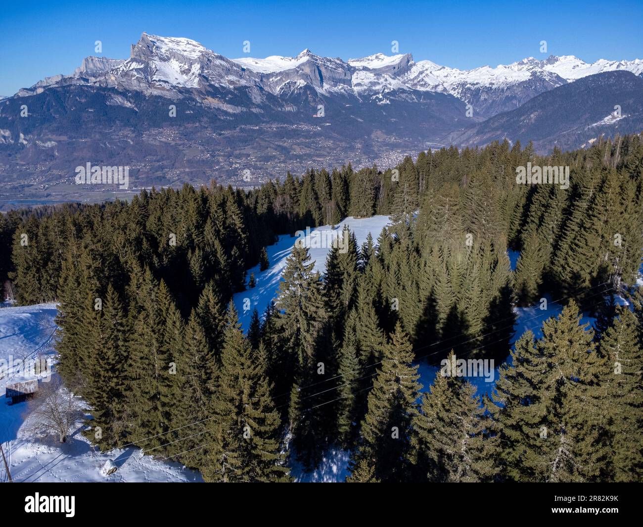 A majestic snow-capped Mont Blanc mountain range, with lush evergreen ...