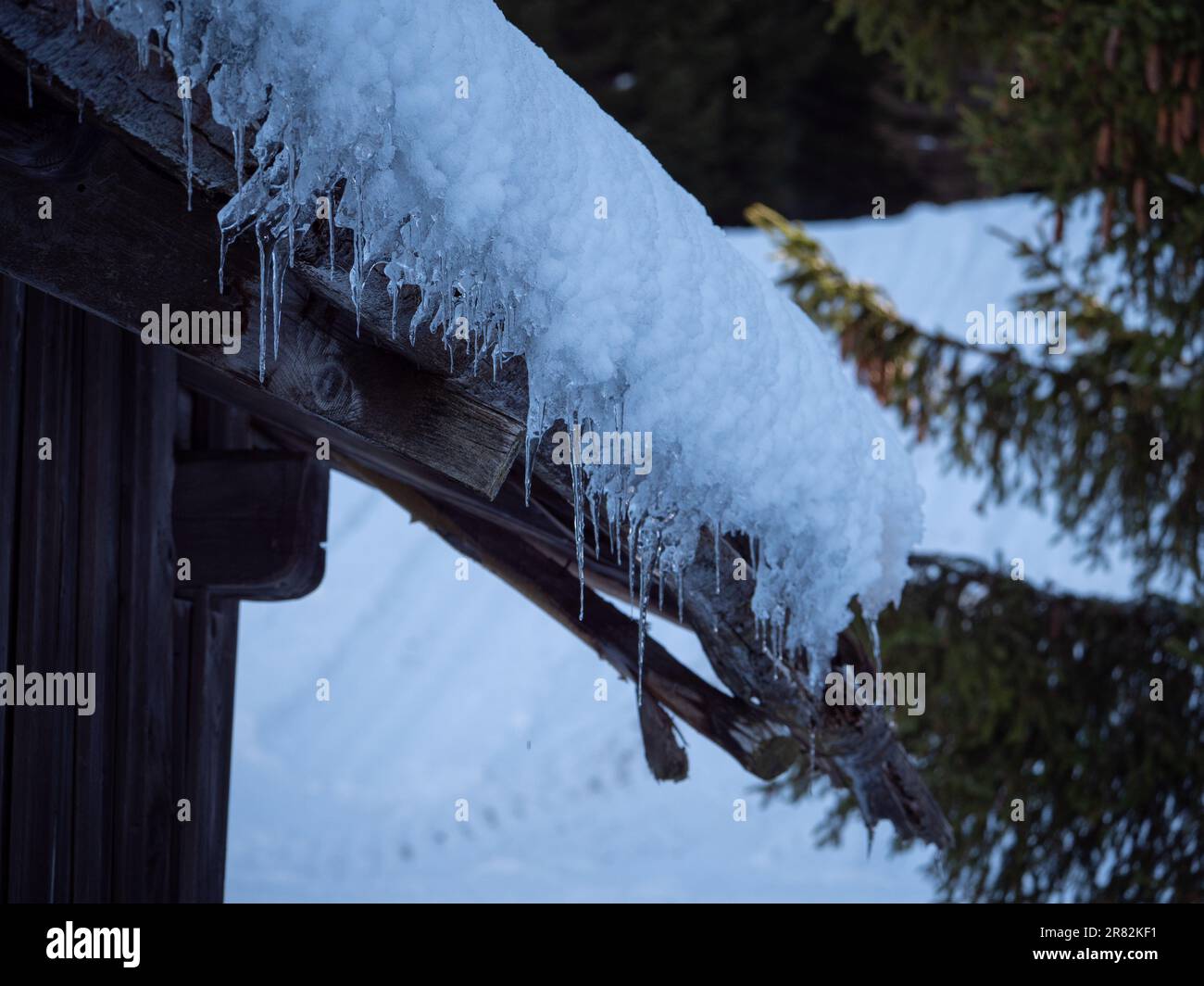 A shot of a branch blanketed in snow, with chunks of frozen ice ...