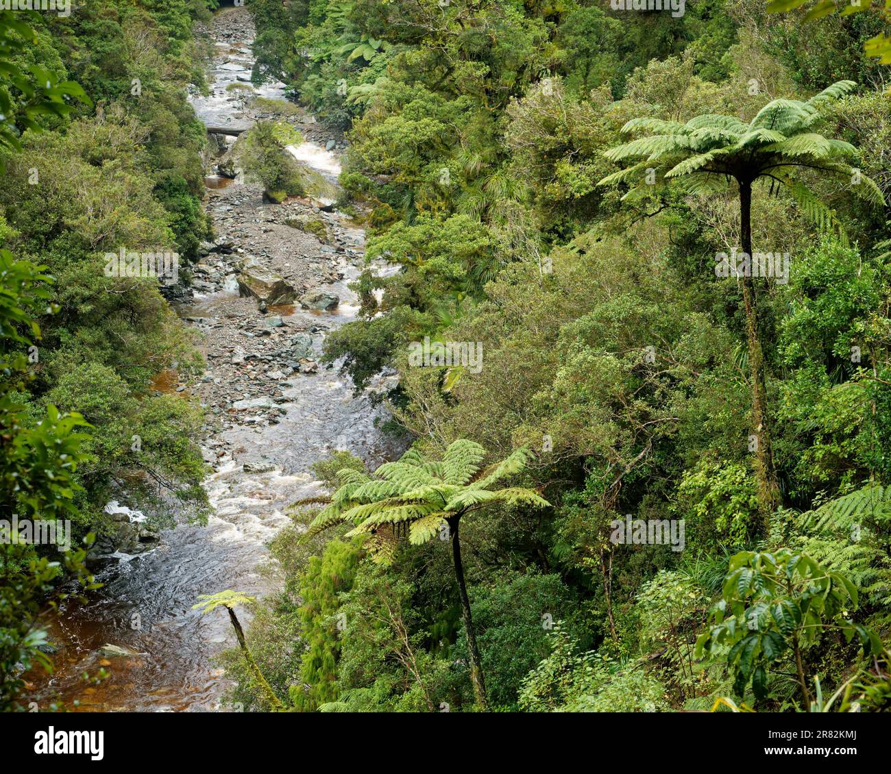 Looking down on the Kaituna River from the Kaituna Track, Kahurangi ...