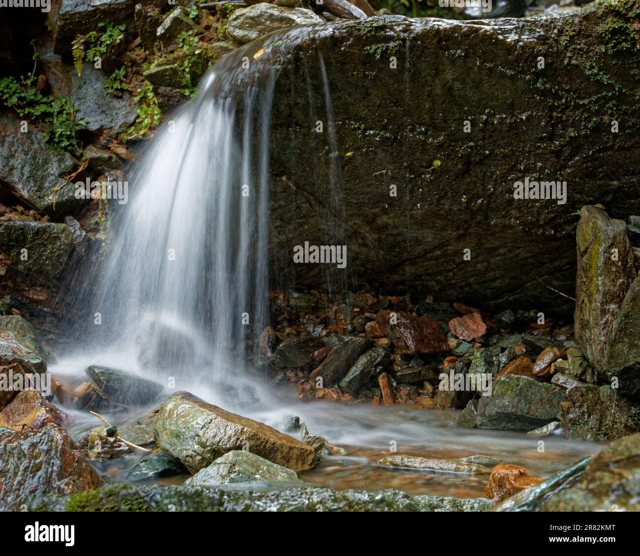 An unnamed waterfall on the Kaituna Track, Kahurangi National Park ...