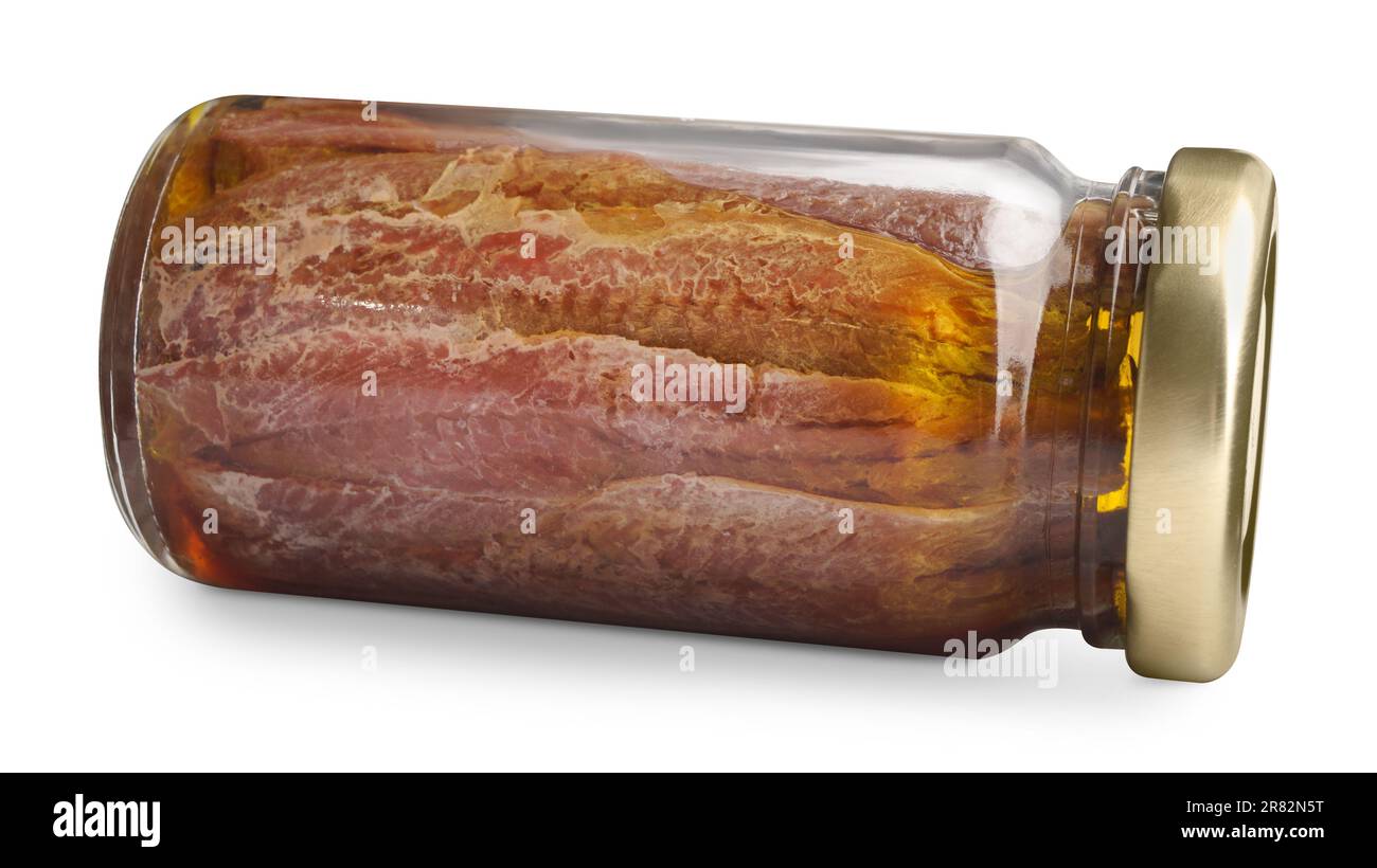 Jar with anchovy fillets in oil isolated on white Stock Photo - Alamy