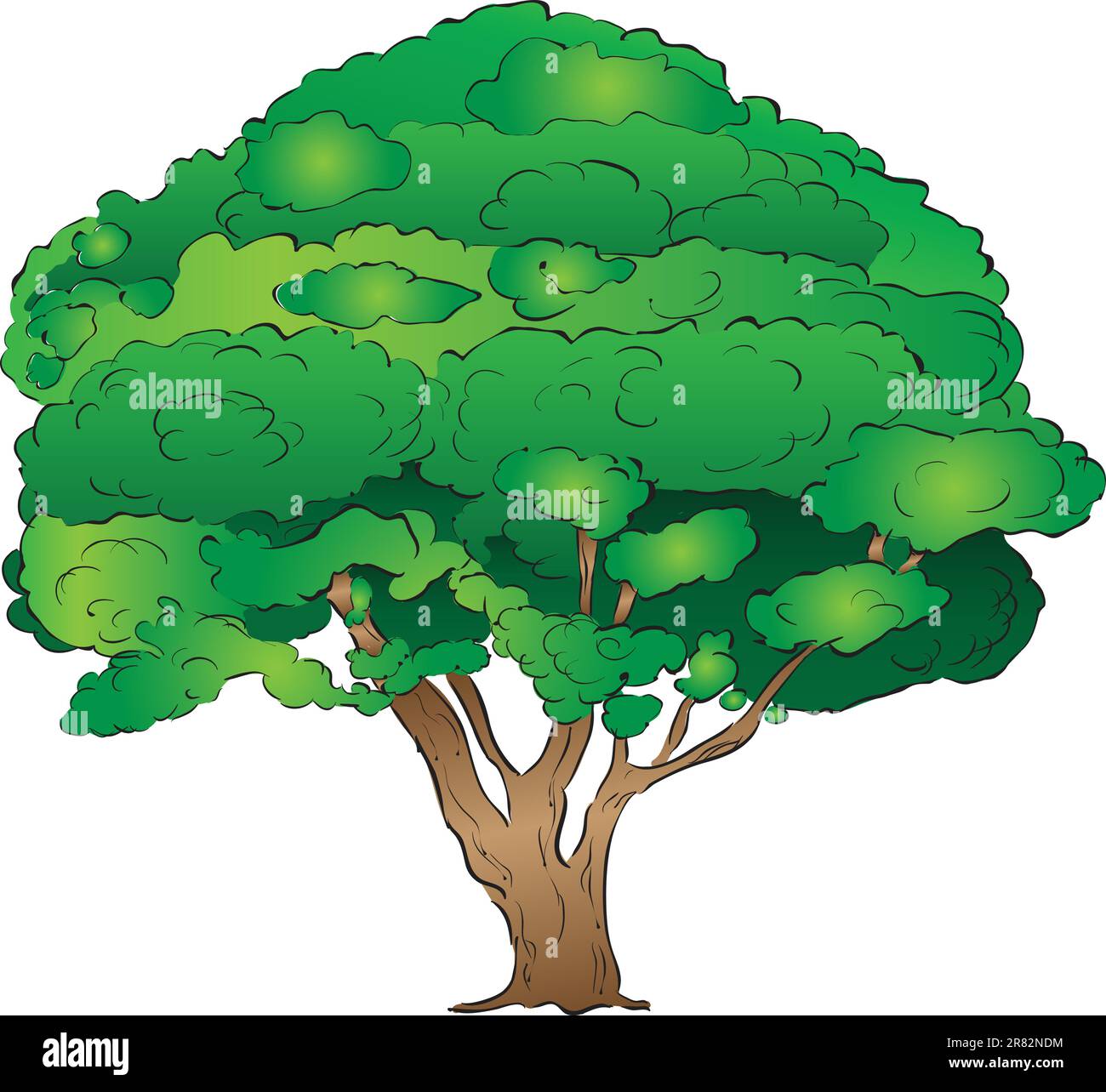 An old tree with a dense crown. Vector illustration Stock Vector Image ...
