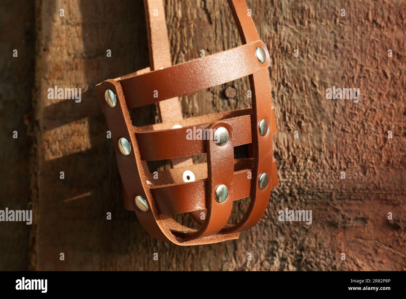 Brown dog muzzle hanging near wooden fence, closeup Stock Photo - Alamy