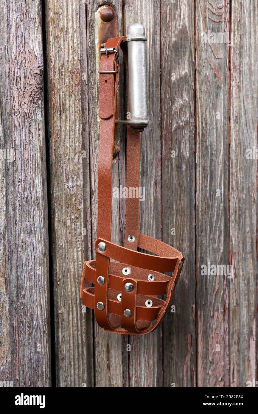 Brown dog muzzle hanging near wooden fence Stock Photo - Alamy