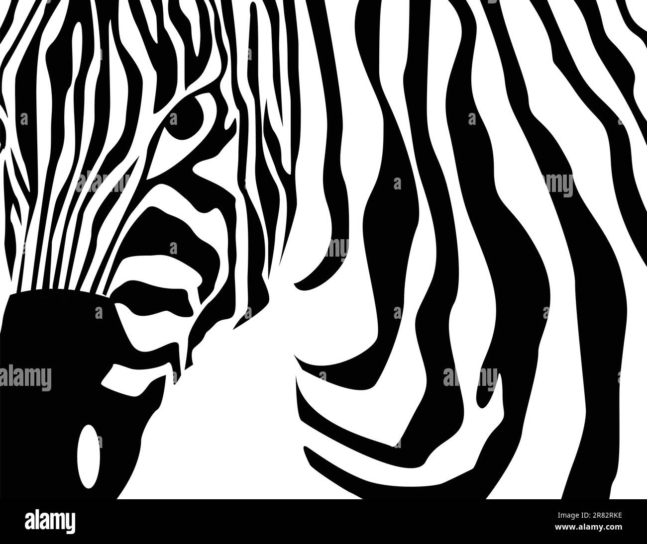 Stripe zebra Stock Vector Images - Alamy