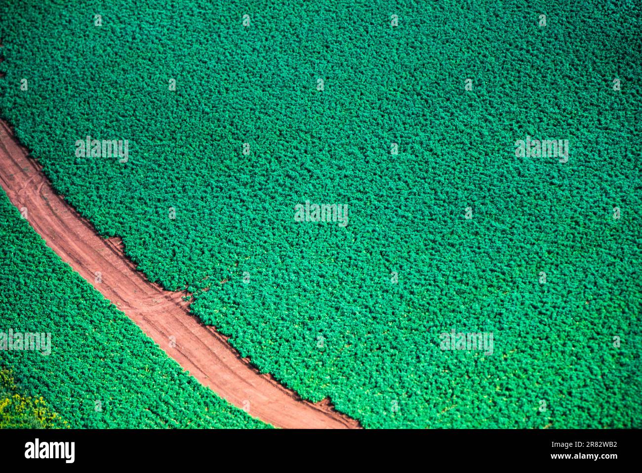 Aerial images of Prince Edward Island, PEI, Canada Stock Photo - Alamy