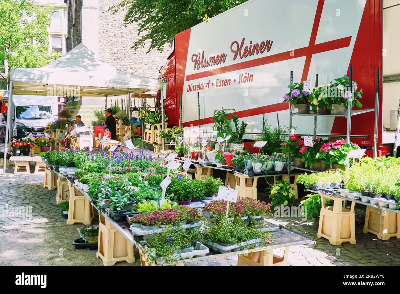 Colorful outdoor flower and plant shop in a pedestrian zone in downtown ...
