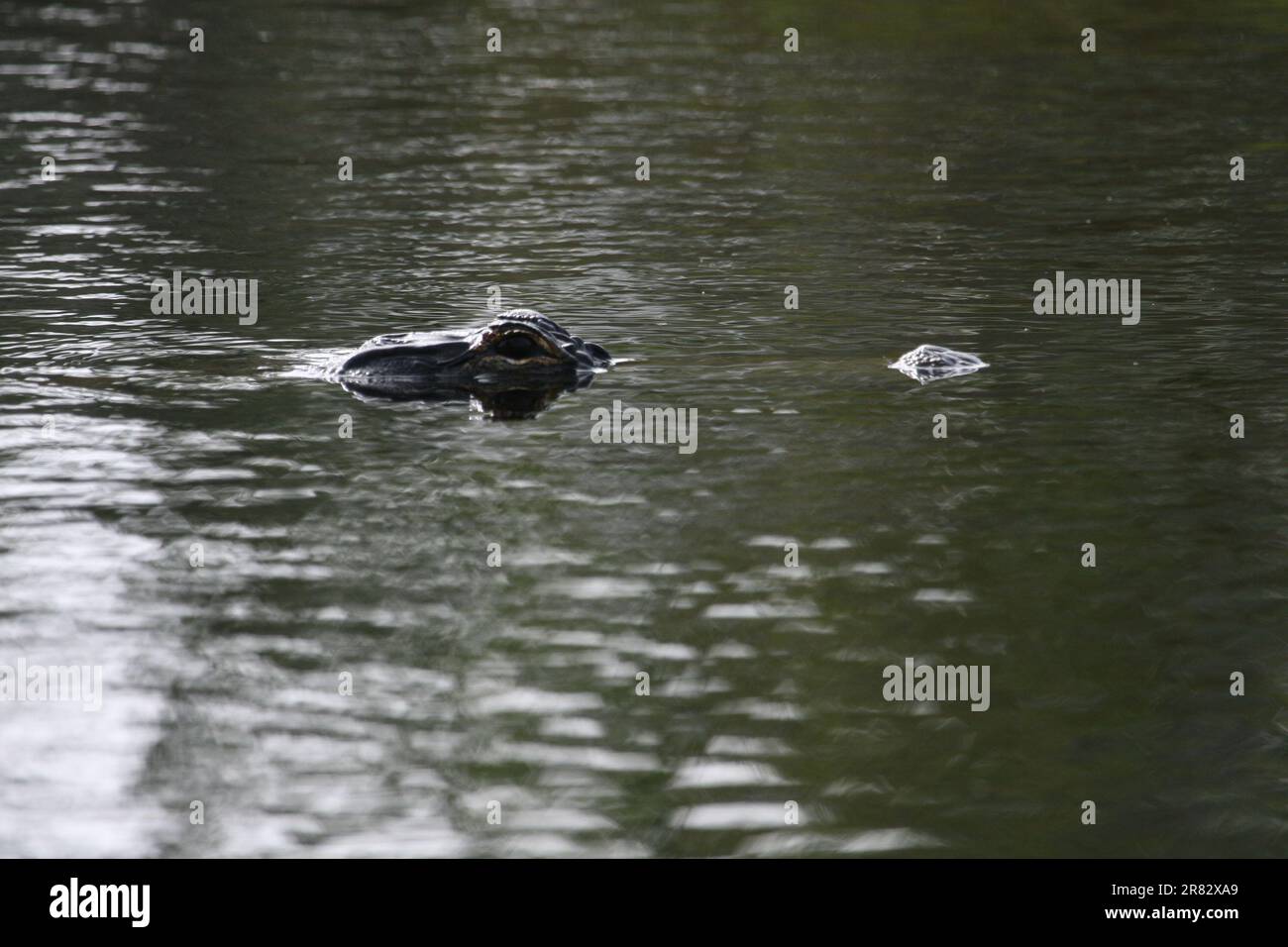 Alabama gulf shores resorts hi-res stock photography and images - Alamy